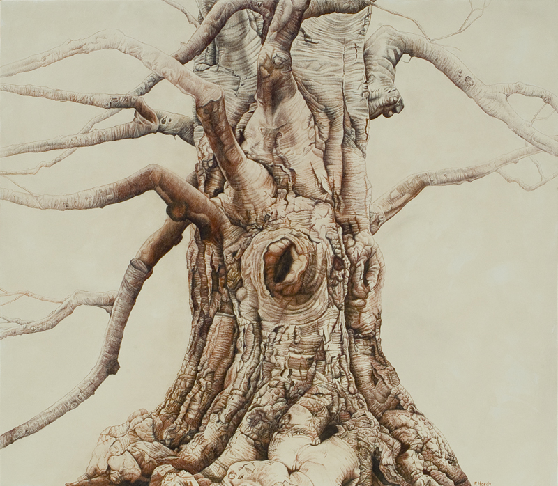 The Creative-Native Project: Roots of Inspiration: Tolkein's Magic Trees