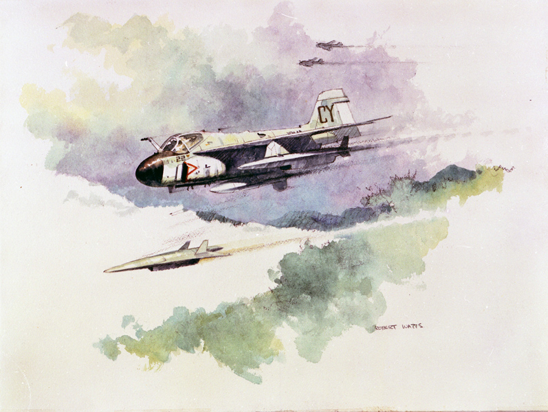 Tony Chong: The Mysterious Ryan Model 147S-2