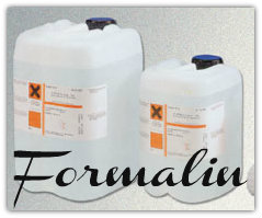 Zat Berbahaya Formalin Pada Buah - Education Articles