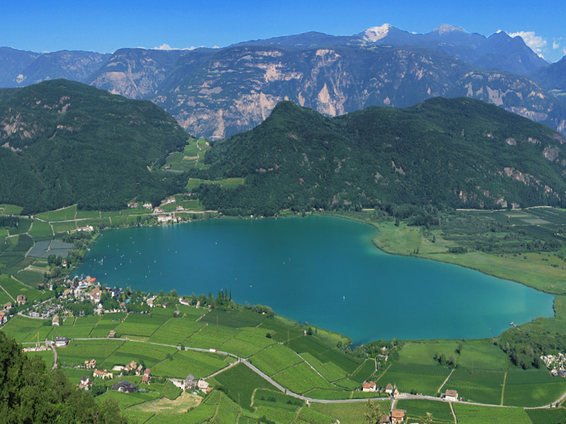 The Centurion: Lago di Caldaro (Alto Adige) DOC