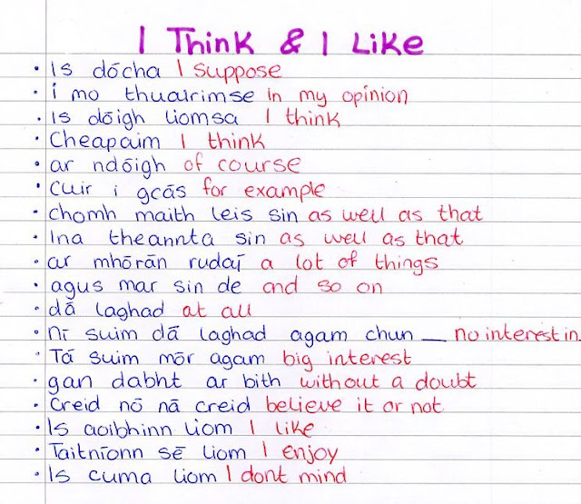 Study Notes By Kaz: Irish Oral: OL