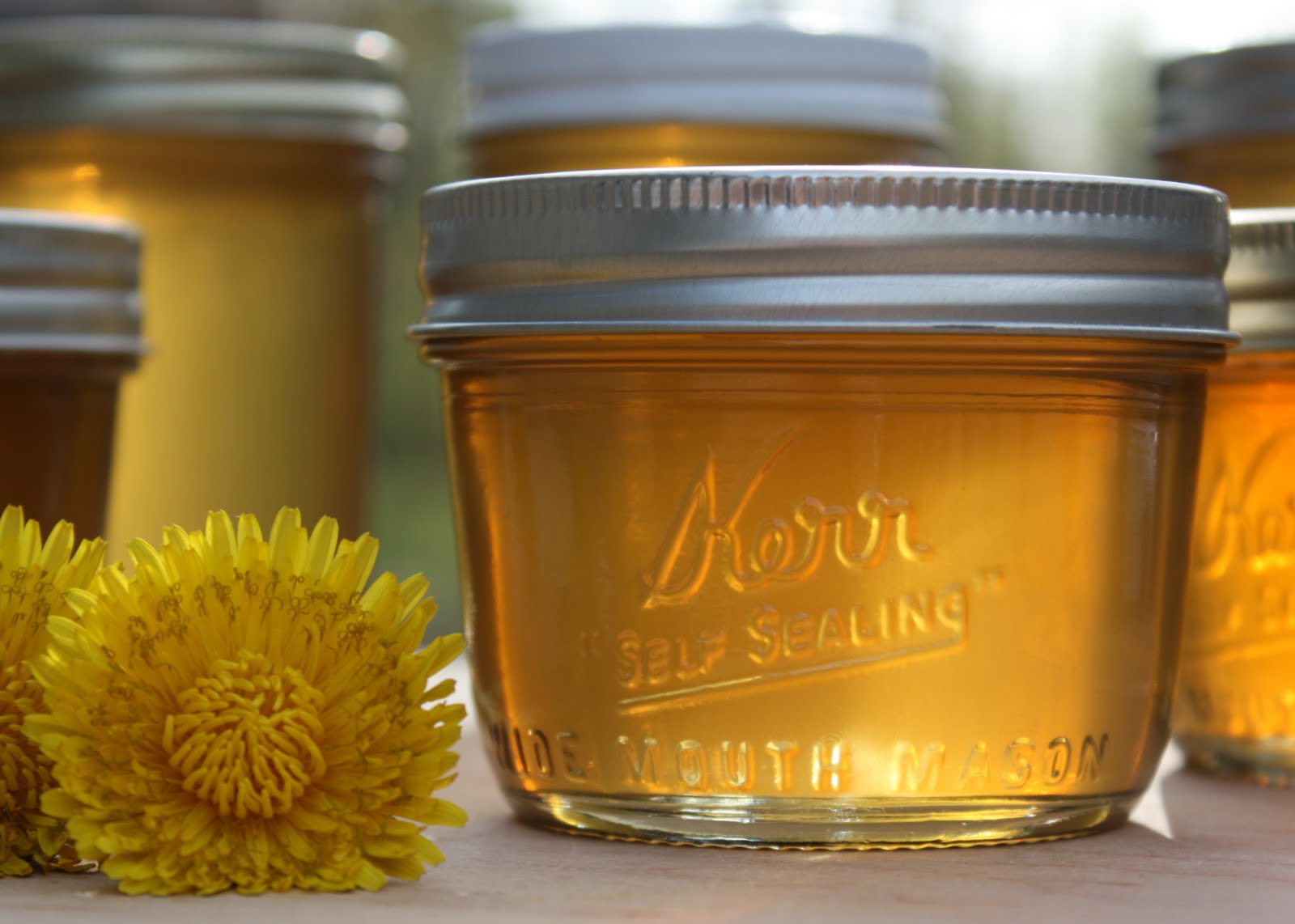 lil fish studios: Delicious Dandelions