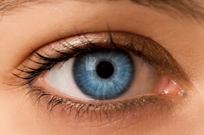El Blog de Curiosidades: ¿Cuántos megapíxeles tiene el ojo humano? El Blog de Curiosidades: ¿Cuántos megapíxeles tiene el ojo humano?