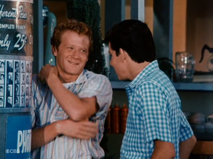 The Flaming Nose: The TV Sidekick Blogathon: Ralph Malph of "Happy Days"