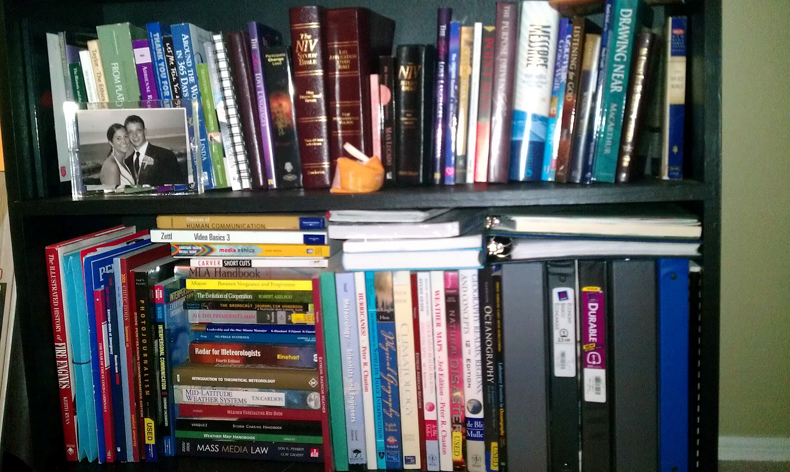 Paula's Projects: Handmade Book Shelf