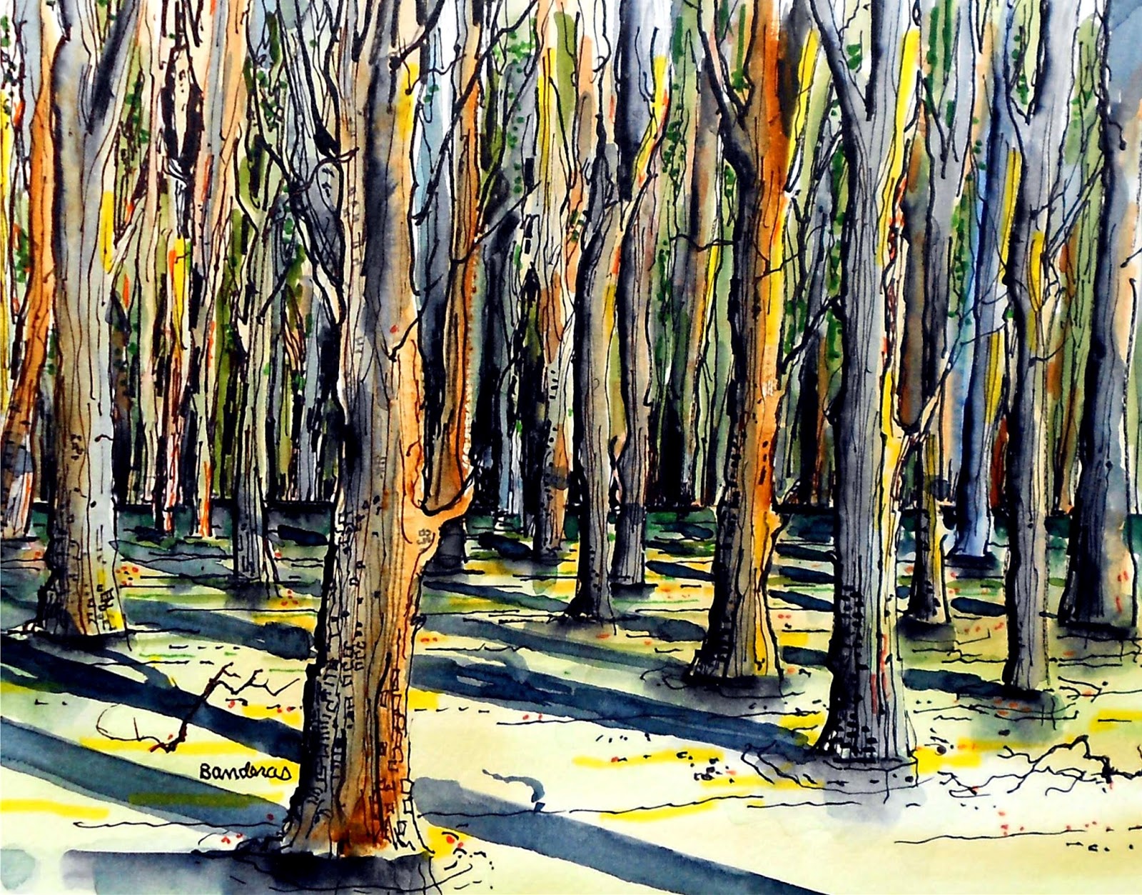 Terry's Ink and Watercolor: trees