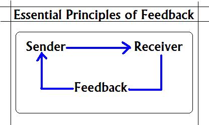 Essential Principles of Feedback | Business Consi