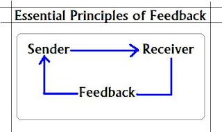 Essential Principles of Feedback | Business Consi