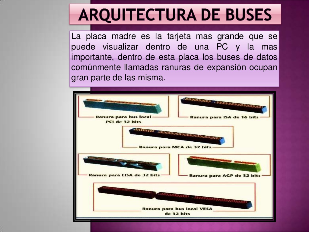 Informática: Placa Madre : Bus de Datos