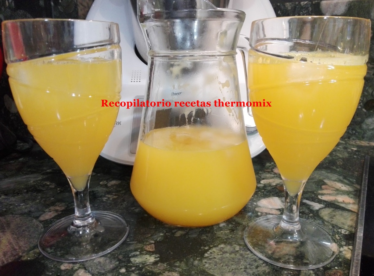 Recopilatorio de recetas thermomix: Bebida energética thermomix
