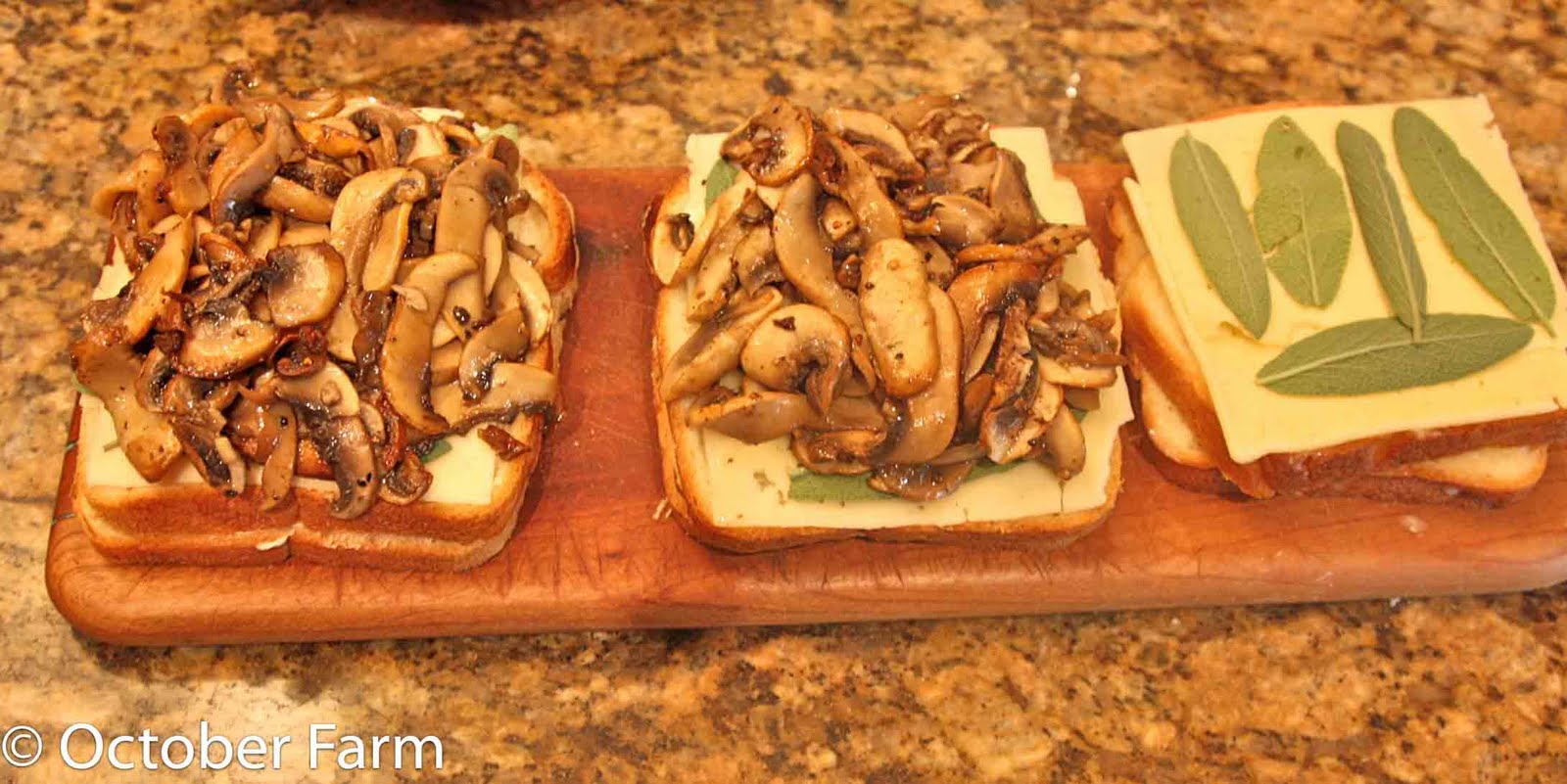 Halloween Fungus Sandwiches aka Mushroom Sandwiches with Cheese and Sage
