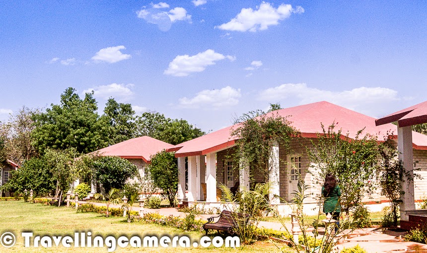 A stay on the border of the Tiger Kingdom - Our experience with Tiger ...