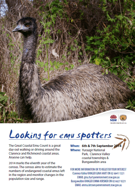 North Coast Voices: The Great Coastal Emu Hunt 6-7 September 2014 ...