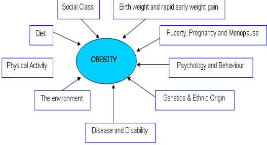 M.V Hospital for Diabetes,Diabetes Centre in Chennai,Diabetes Care ...