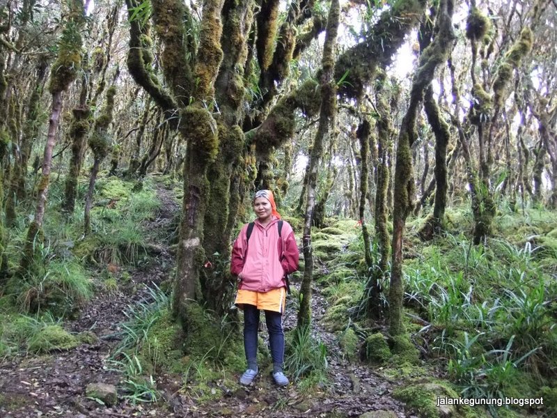 Jalan Ke Gunung: Mendaki Gunung Rante Mario