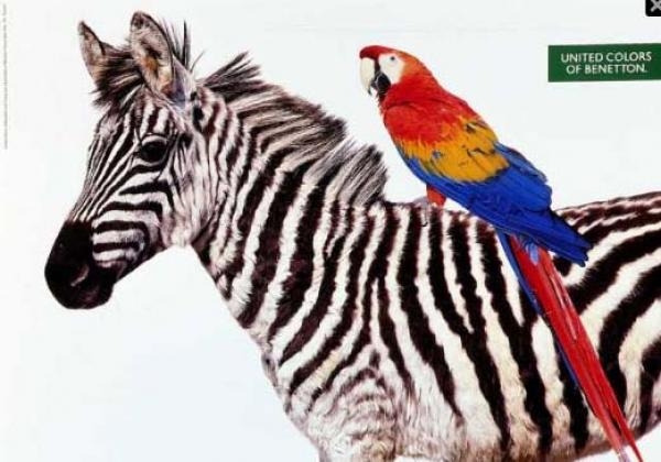 Anthony Luke's not-just-another-photoblog Blog: Photographer Profile ...