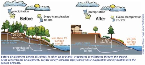 A Level Geography Blog: A Level Geog Taster 2019