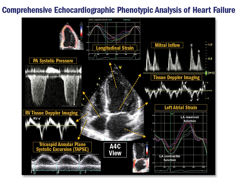 Orion Cardiology, PLLC : 2017-02-05