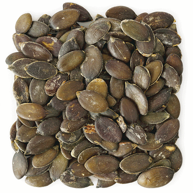 VARJACOM KROZ SVET: SEMENKE BUNDEVE golica