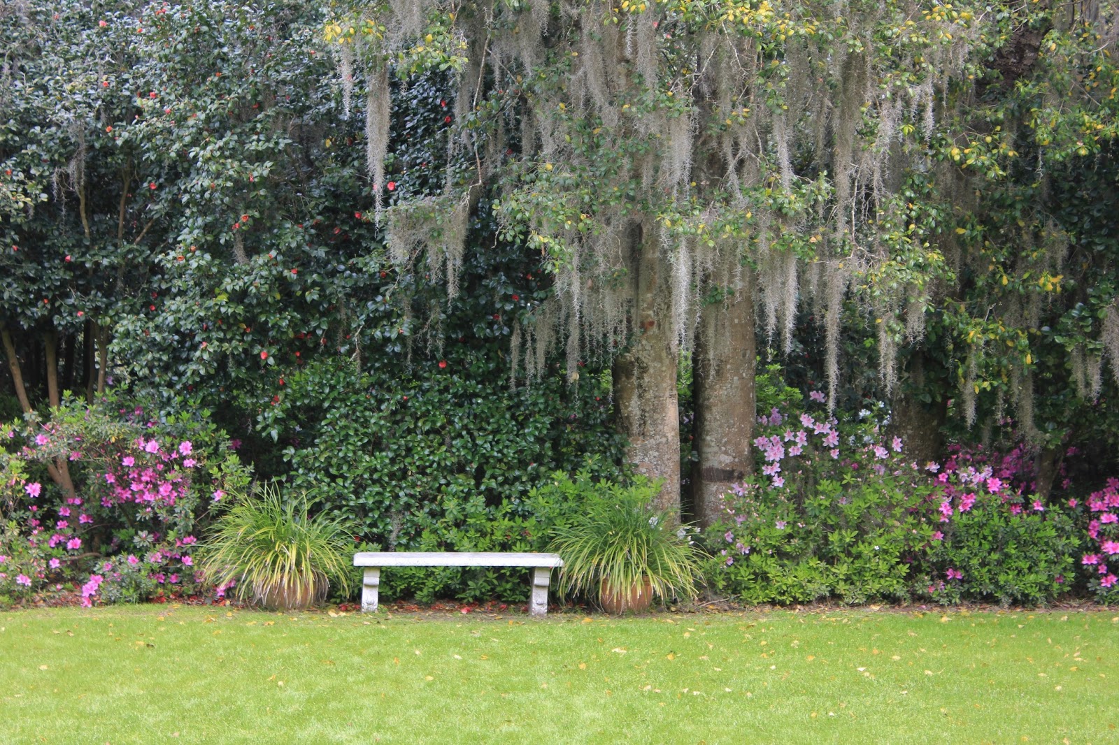 Where's Trevor: Gardens of Middleton Place - Charleston, South Carolina