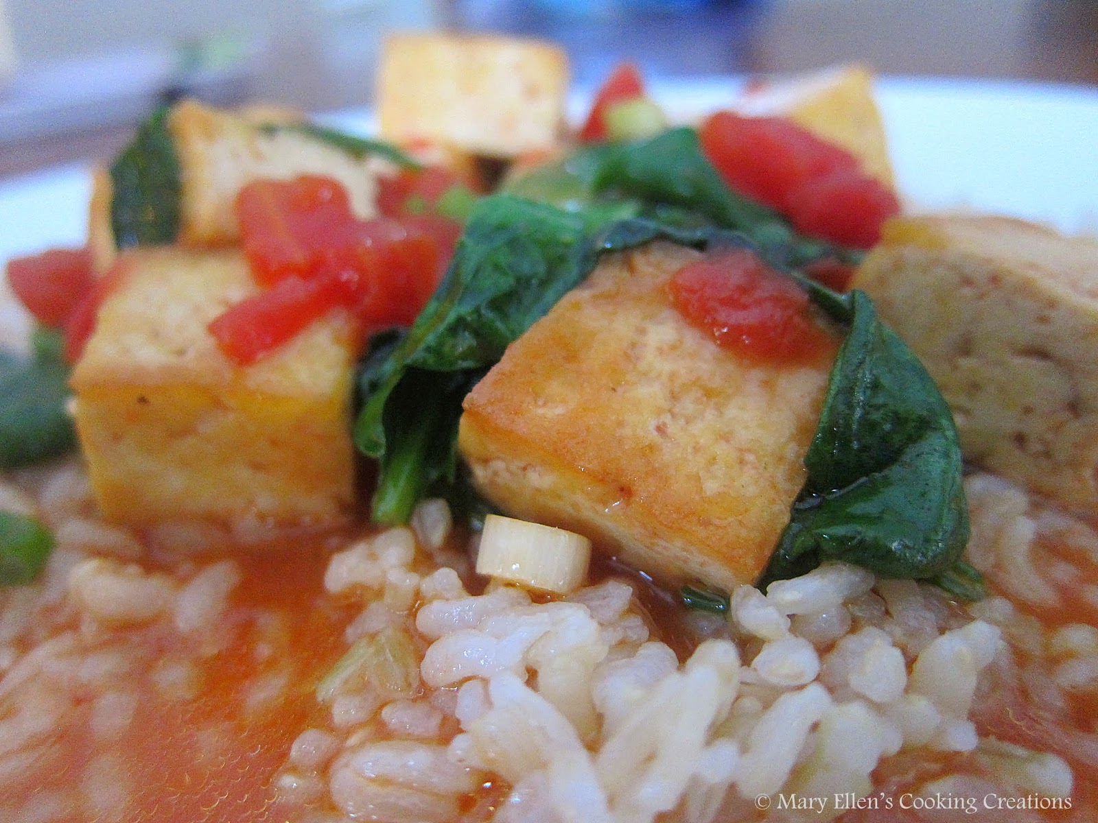 Mary Ellen's Cooking Creations: Tofu with Tomatoes in a Garlic Ponzu Sauce