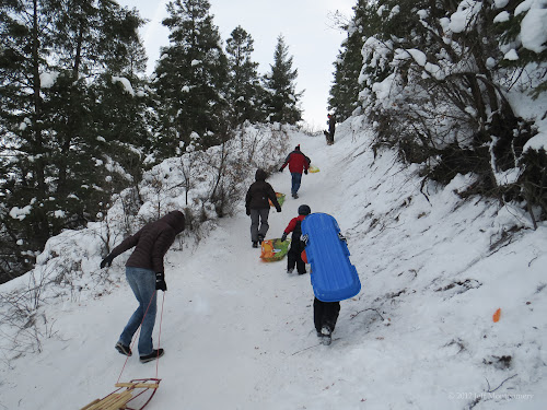 Overend Park Outing : The Gravity Syndrome