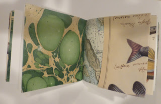 artjuvenation: Tacket Binding - 4 signatures - Fish