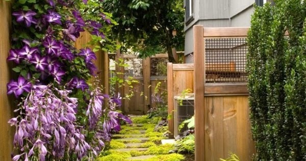 8 Unique Landscape Ideas