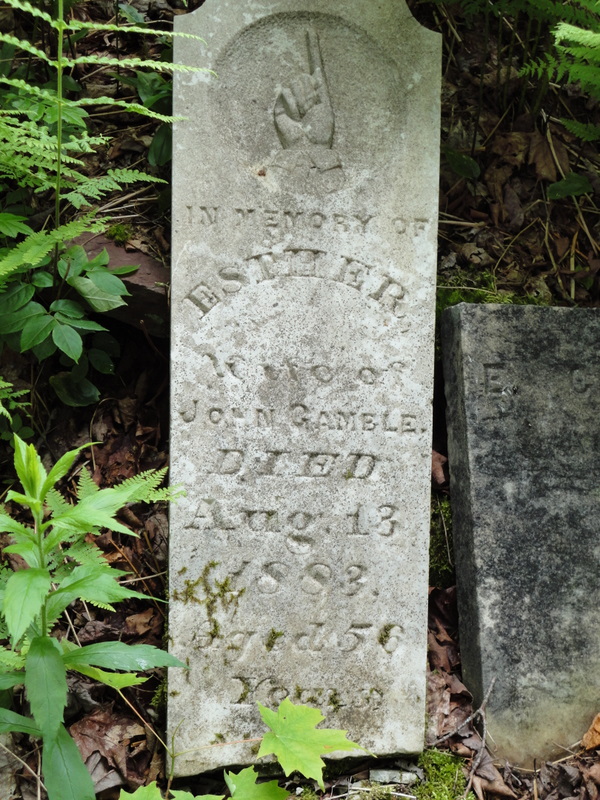 Something to Bragg About...: Our Trailblazing Ancestors - Part 1