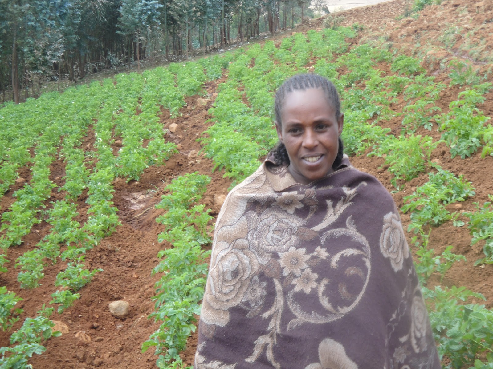 Developments in rural areas across the world: 8th of March : the ...