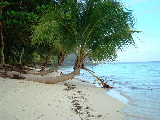 AL'S IN WONDERLAND: DAYANG BEACH RESORT