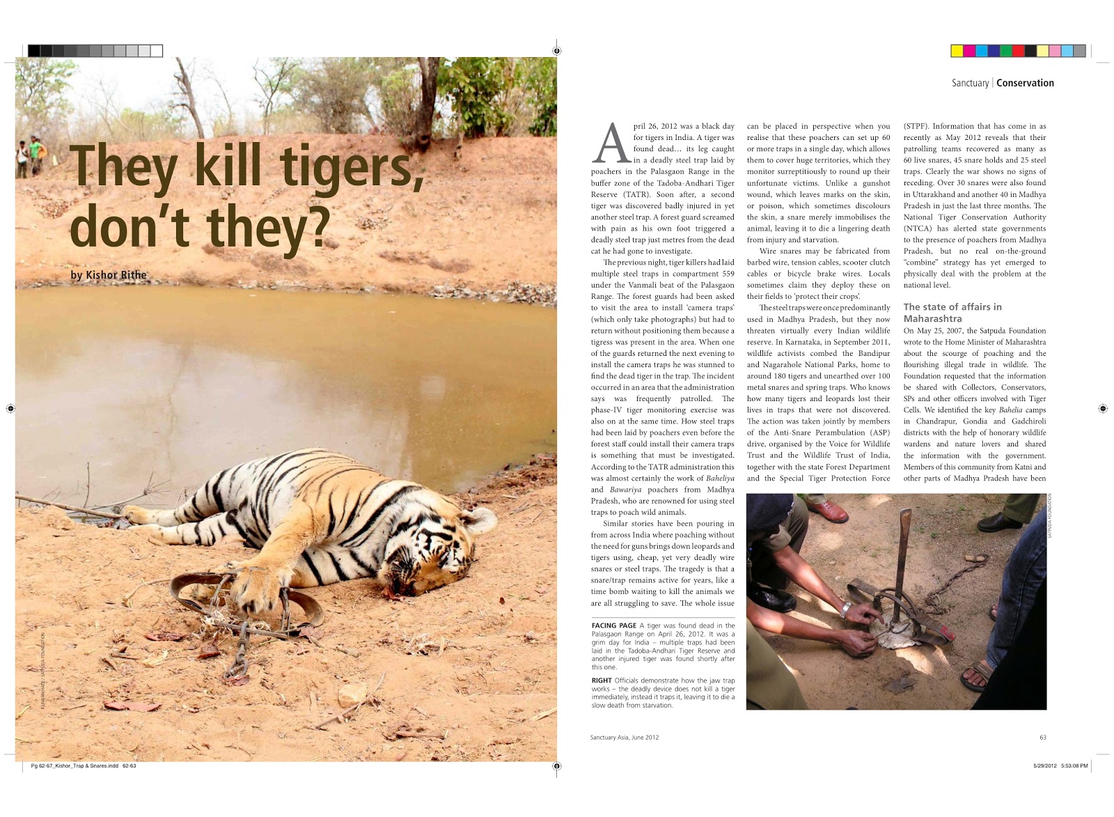 The City-dweller and the Tiger: Kishor Rithe's article about tiger ...