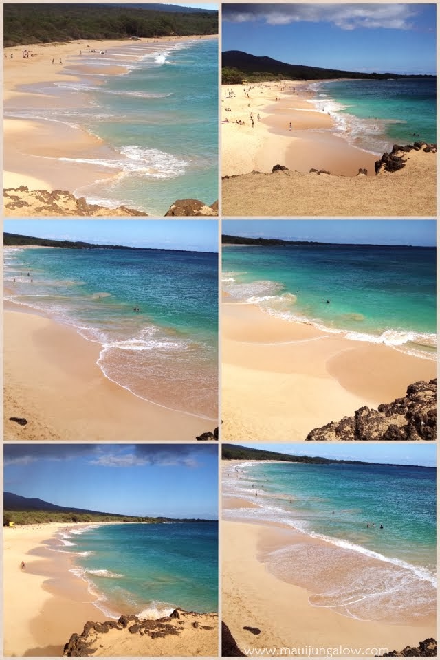 Maui Jungalow: Big Beach: T-shaped Hugging Waves, Scalloped Shore Line ...