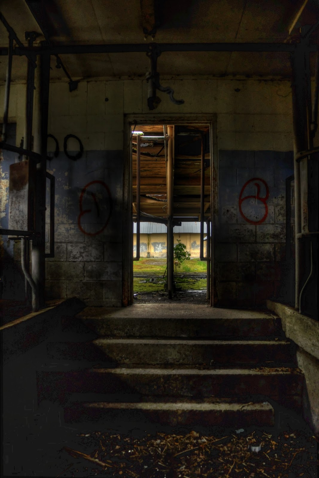 This Life in Ruins: Northern State Hospital Farm