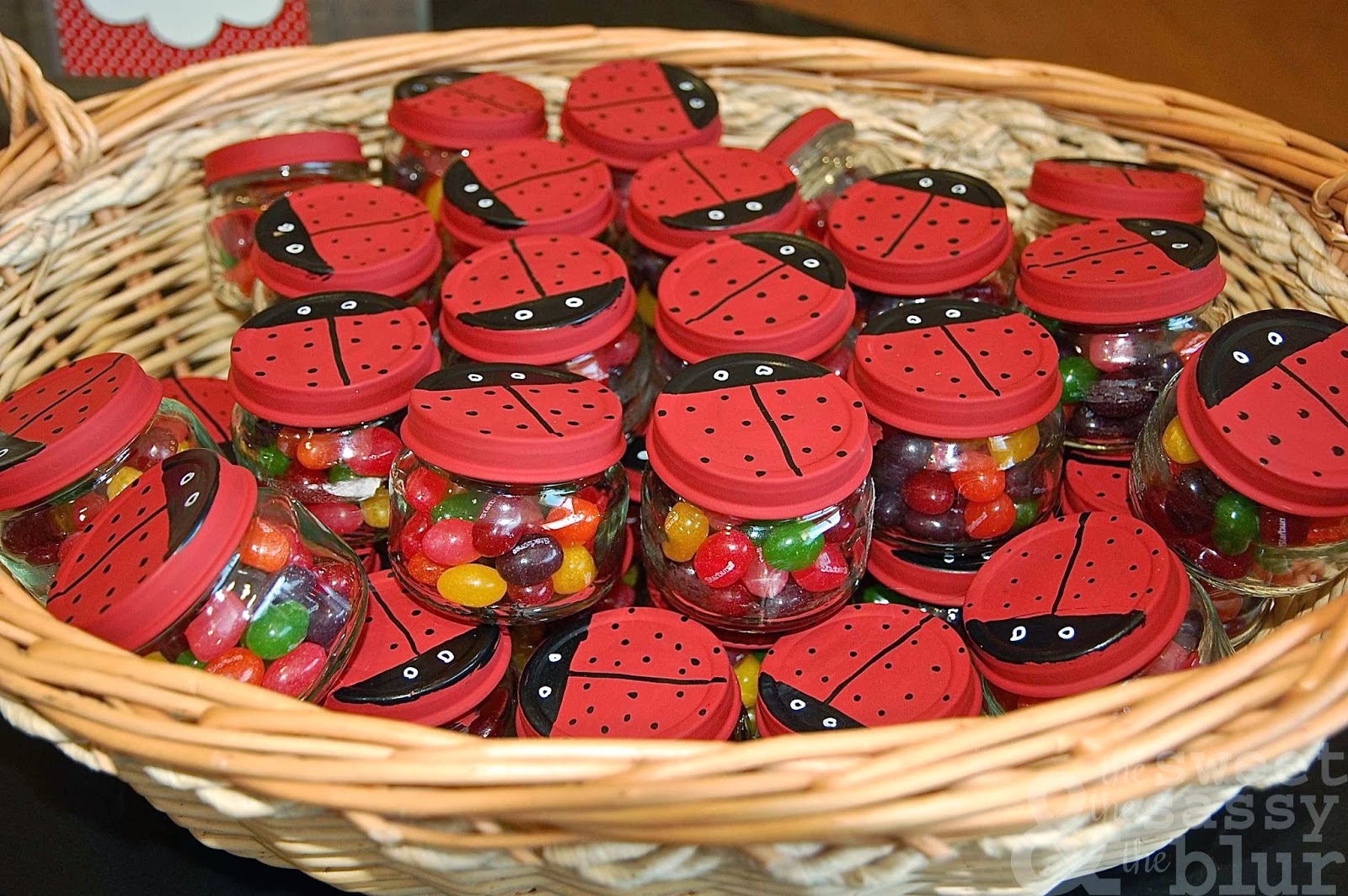 The Sweet, The Sassy and The Blur: Lady Bug 1st Birthday Party