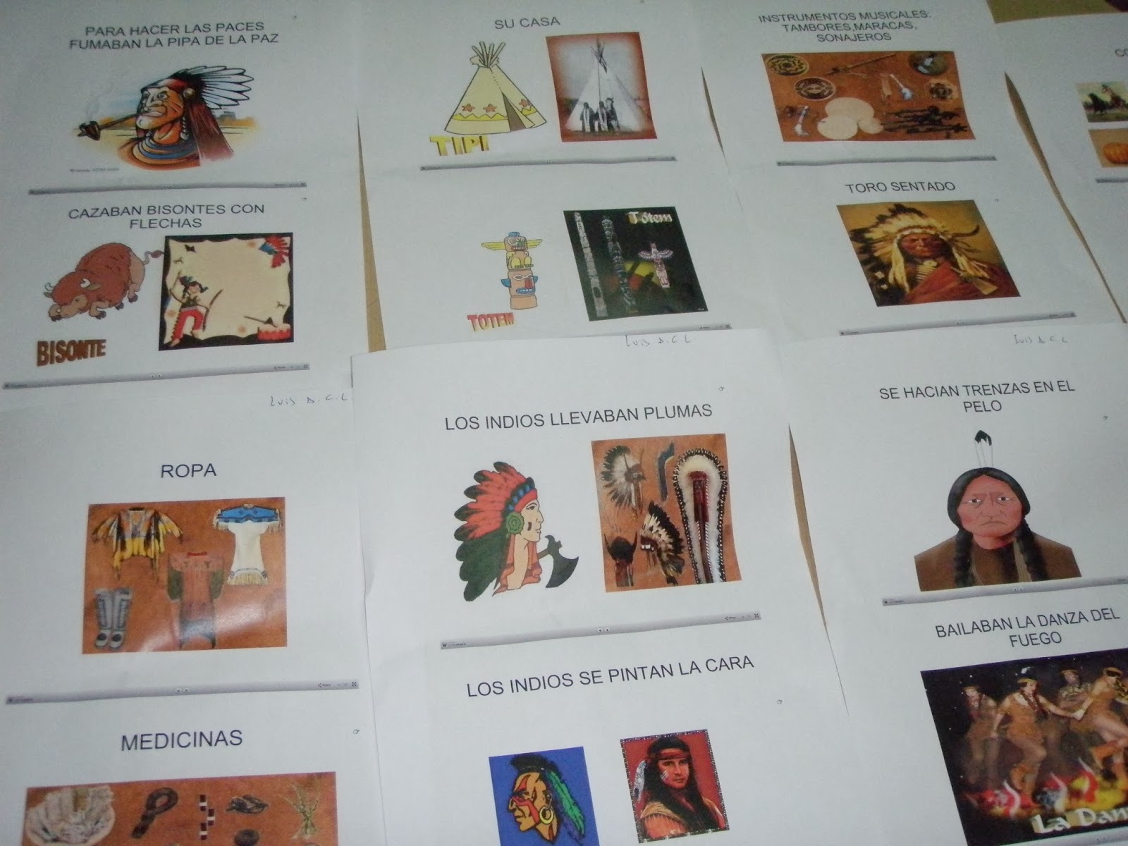 EL BLOG DE MARÍA JOSÉ PÉREZ TRUJILLO : PROYECTO LOS INDIOS