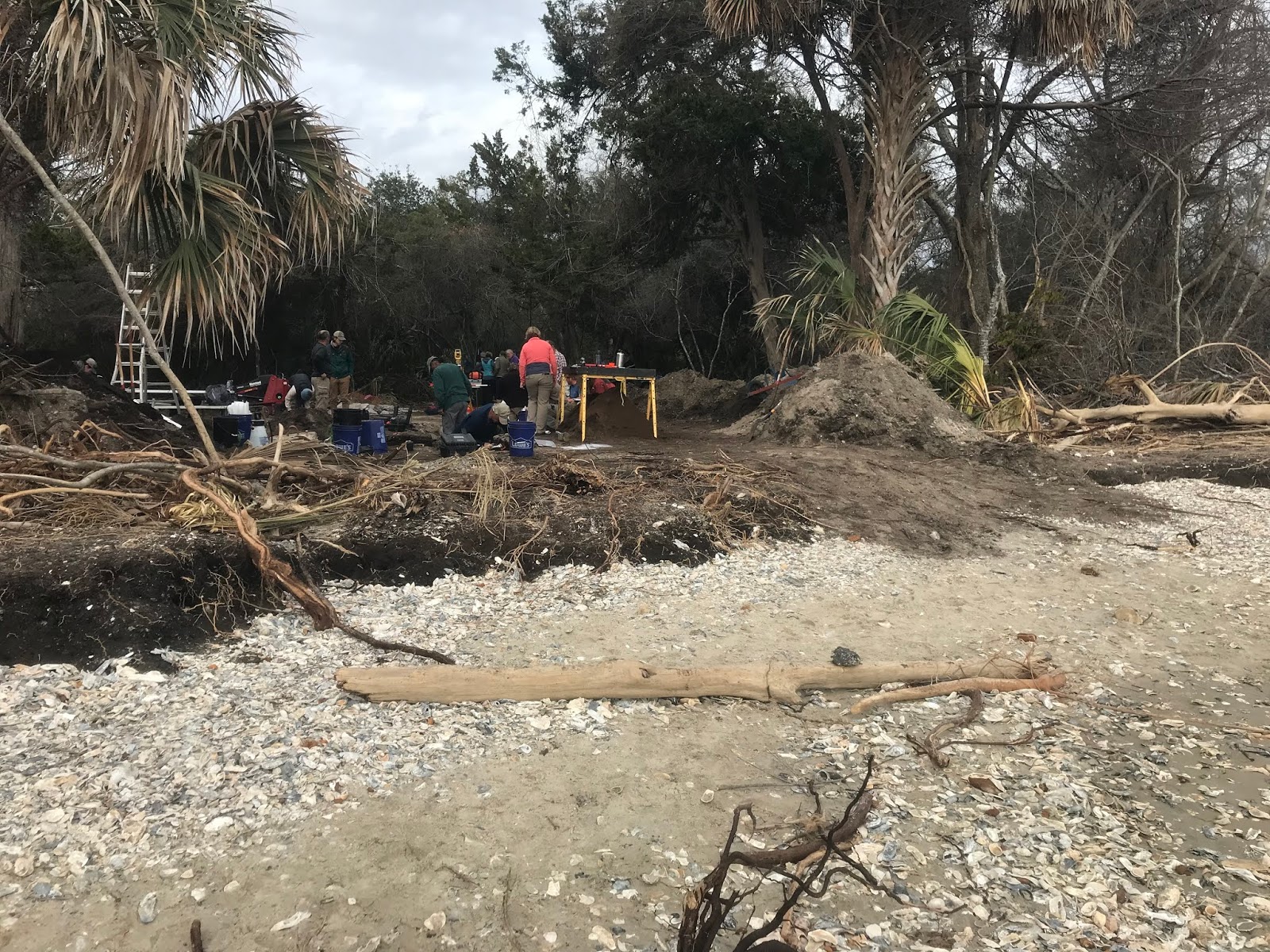Notes from the Field: Erosion at Pockoy Shell Rings, SC