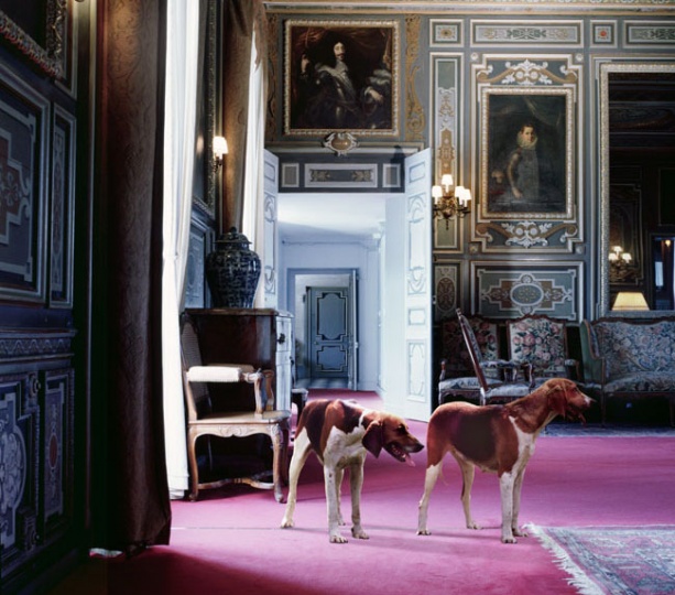 loveisspeed.......: Château Animals by Karen Knorr