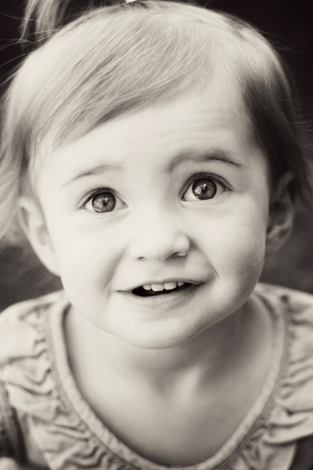 The Daily Daniel Dish