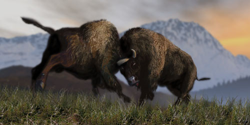 White Wolf : Fairbanks scientists stunned to find intact 40,000-year ...