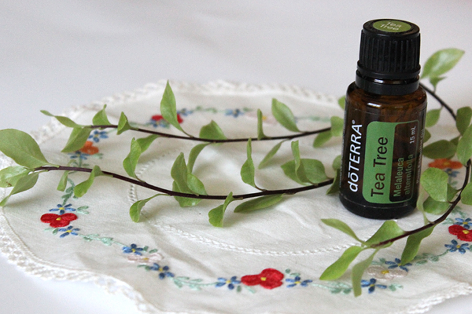 90 + ideas for the doterra Home Essentials Kit | Simply Mardi