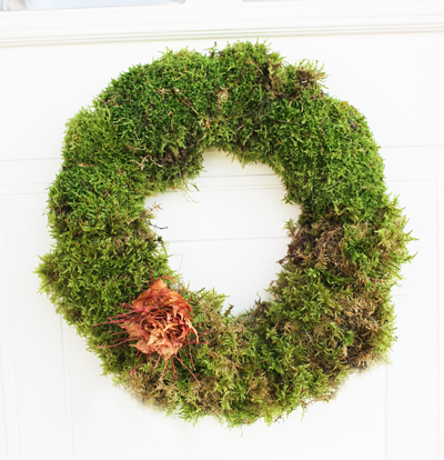 kungen & majkis: Mossa, mossa på er alla människobarn.