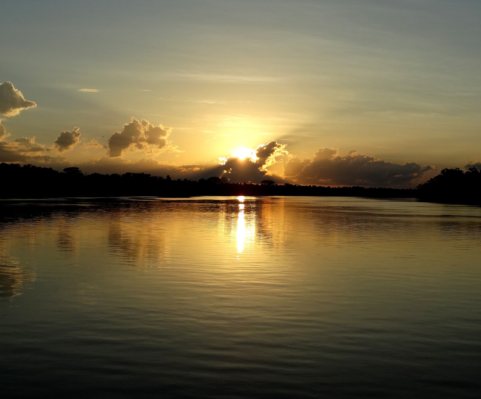 FRUTAS NATIVAS DA AMAZÔNIA