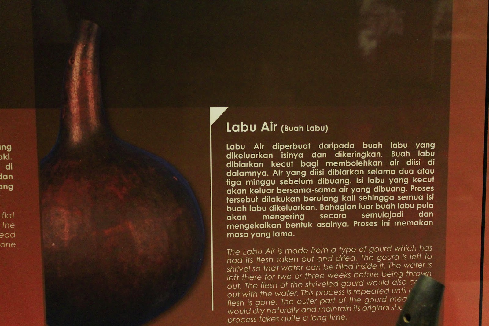 Jenis-Jenis Labu | D_08