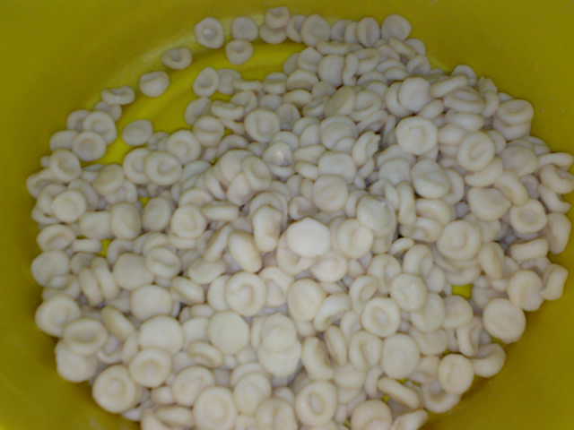 Elimu Asilia: Matobosha - Desert.....