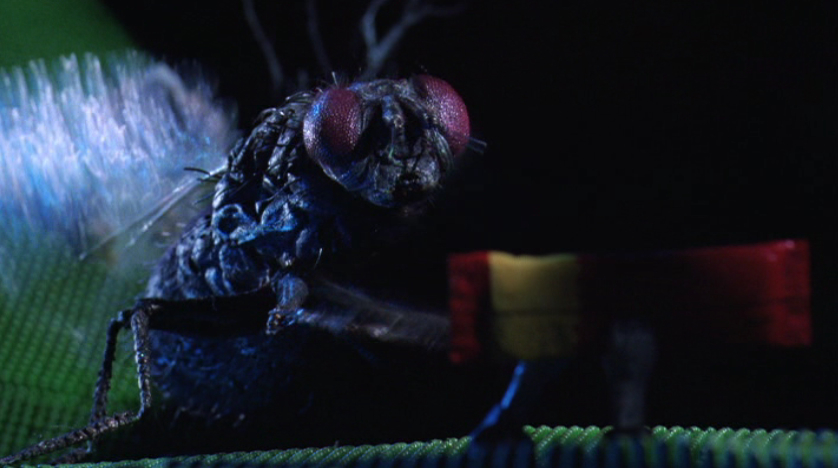 The Blog of Caverns: Beetlejuice Tarot breakdown