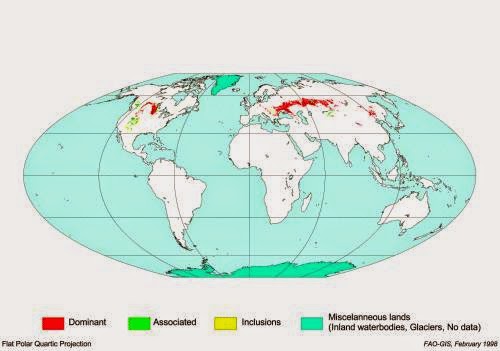 Un bosque de alimentos en la meseta: Las tierras más fértiles