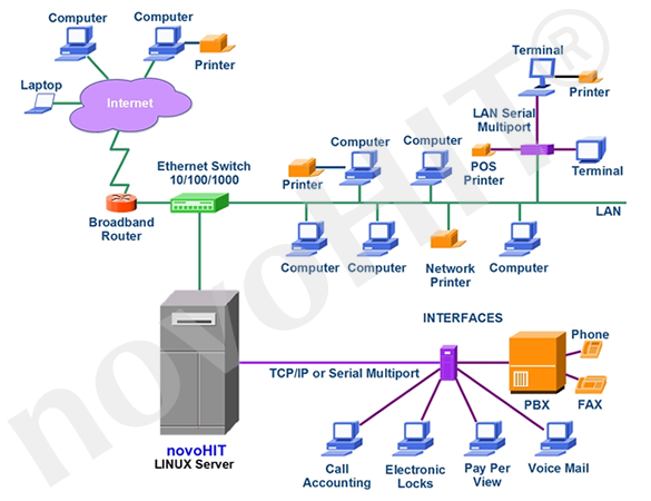 Construir y Administrar Red: Sistema Operativo de Red