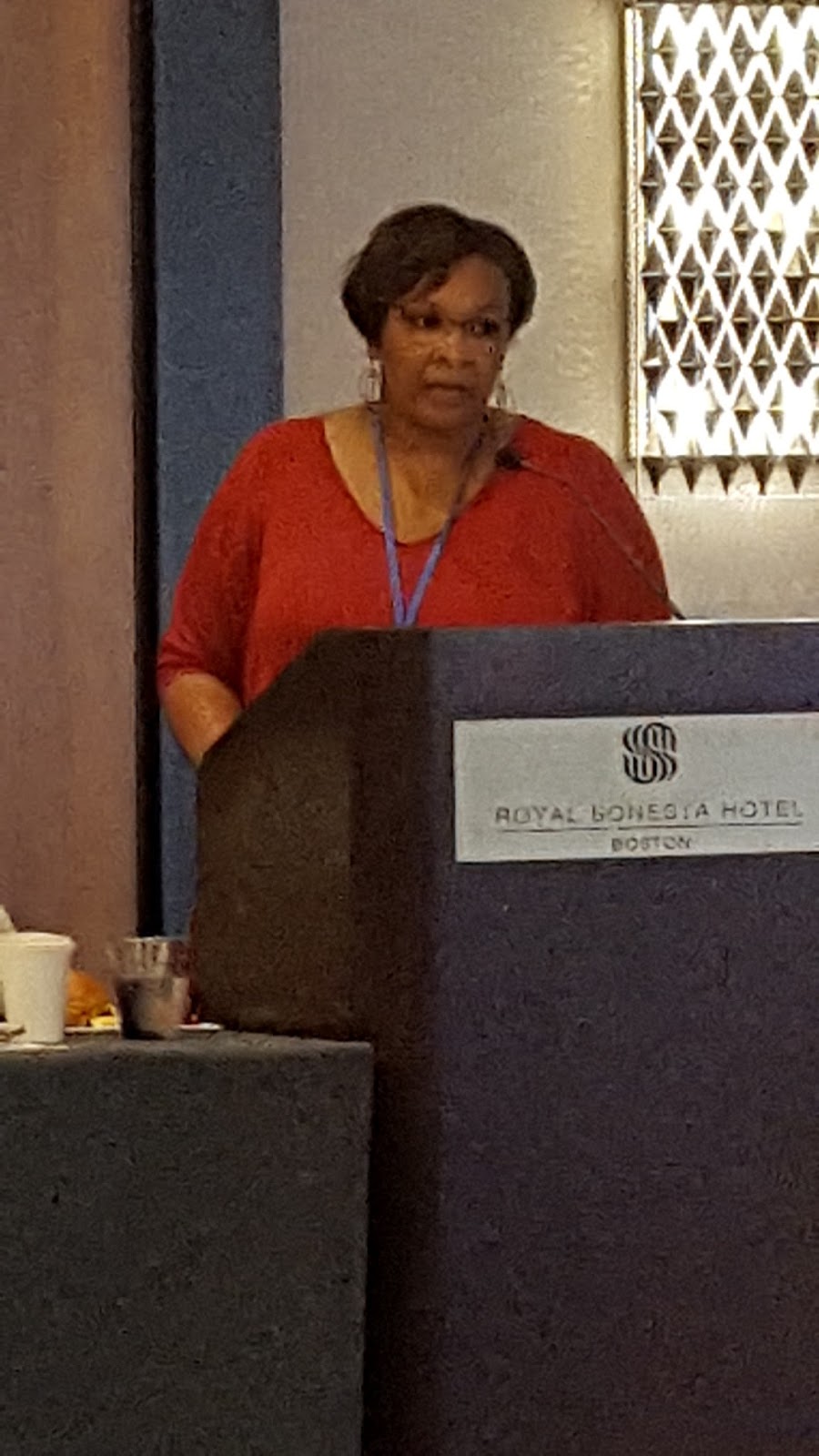 VEA Delegate Reporter: July 2017