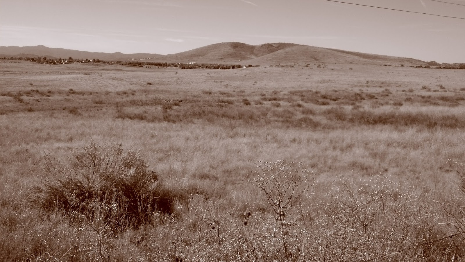 Oddball Observations : TOM MIX COUNTRY